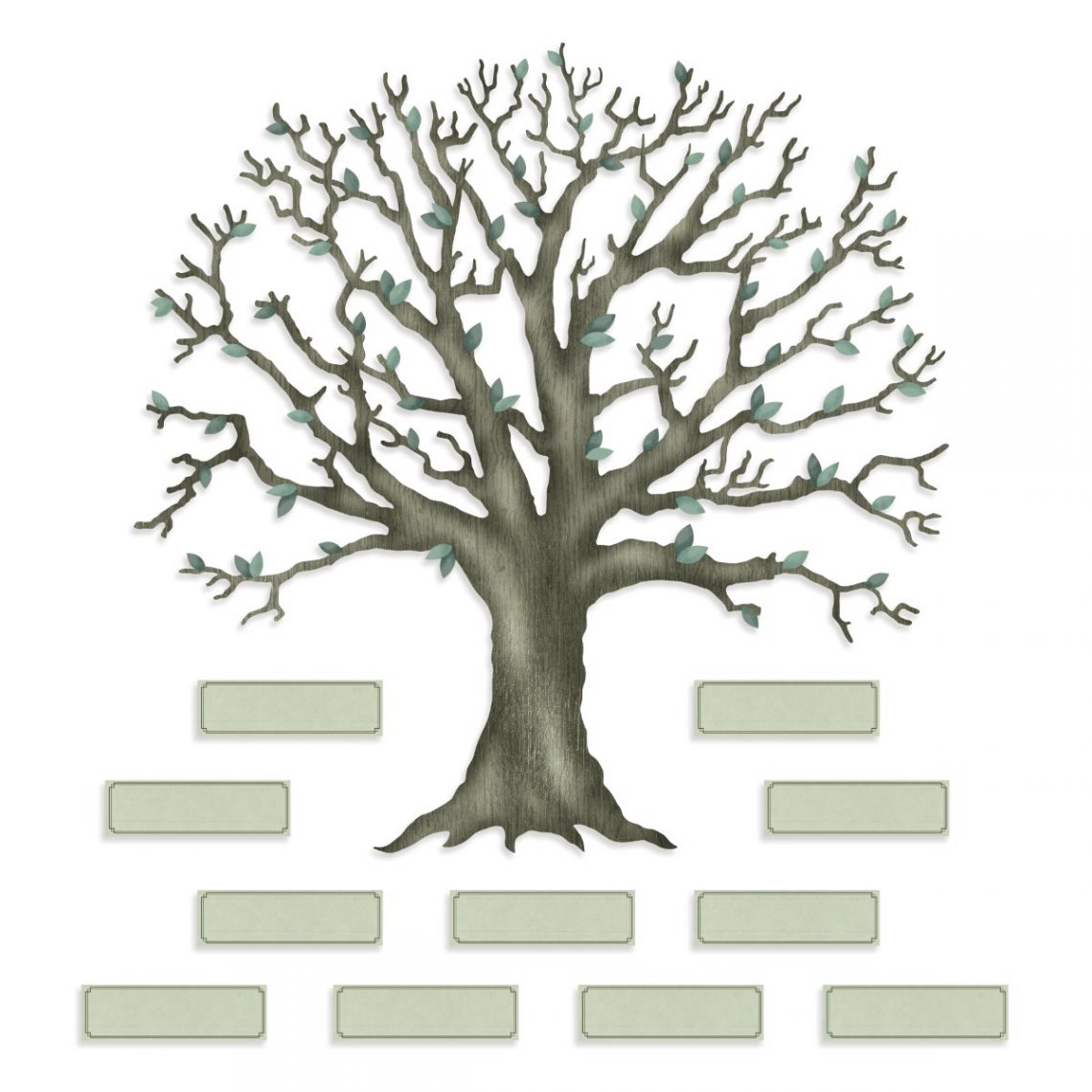 How To Create A Family Tree Website Family Email Hosting